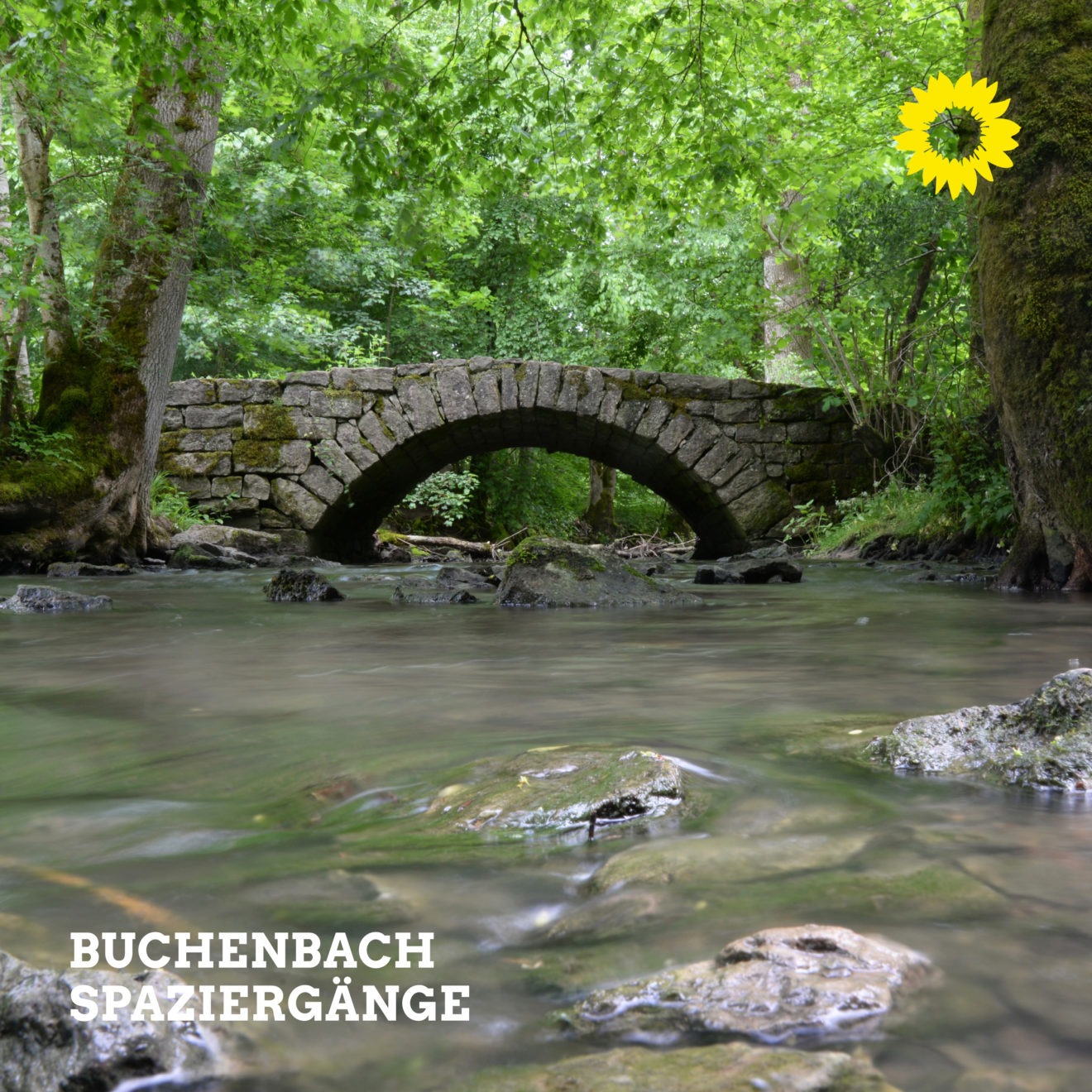 Grüne Spaziergänge: Buchenbach – GRÜNE OV WINNENDEN